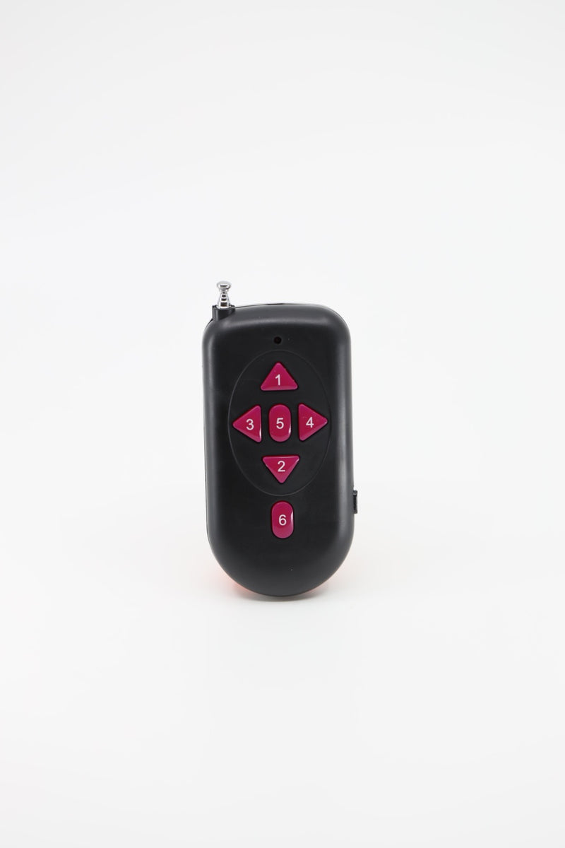 Remote for NightRide 360 Classic